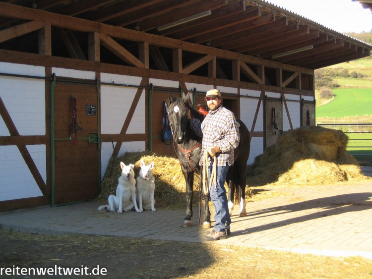Hund und Pferd - Teil 1: Die Eingewöhnung in den Pferdestall - Reiten ...